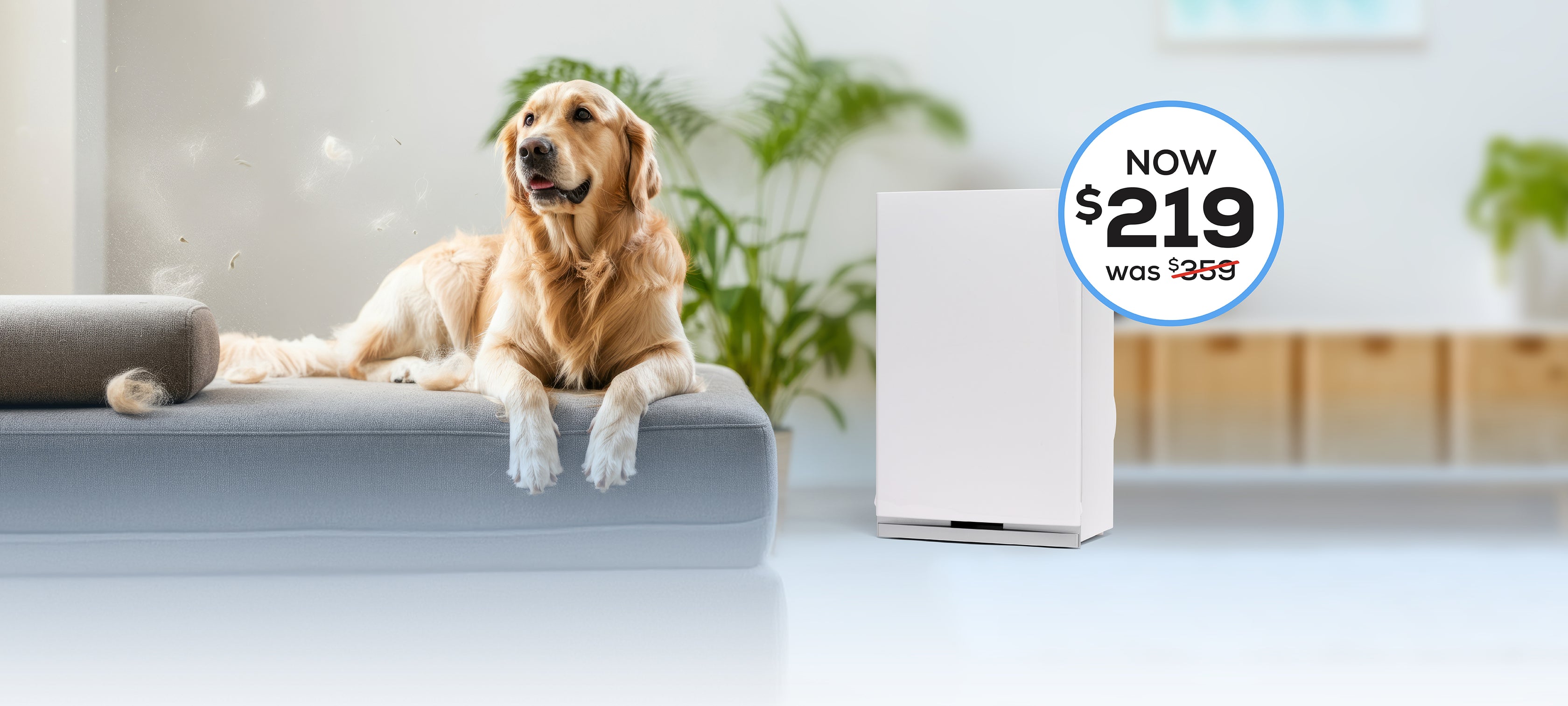 Intellipure: Air Purifiers for Clean, Healthy Indoor Environments